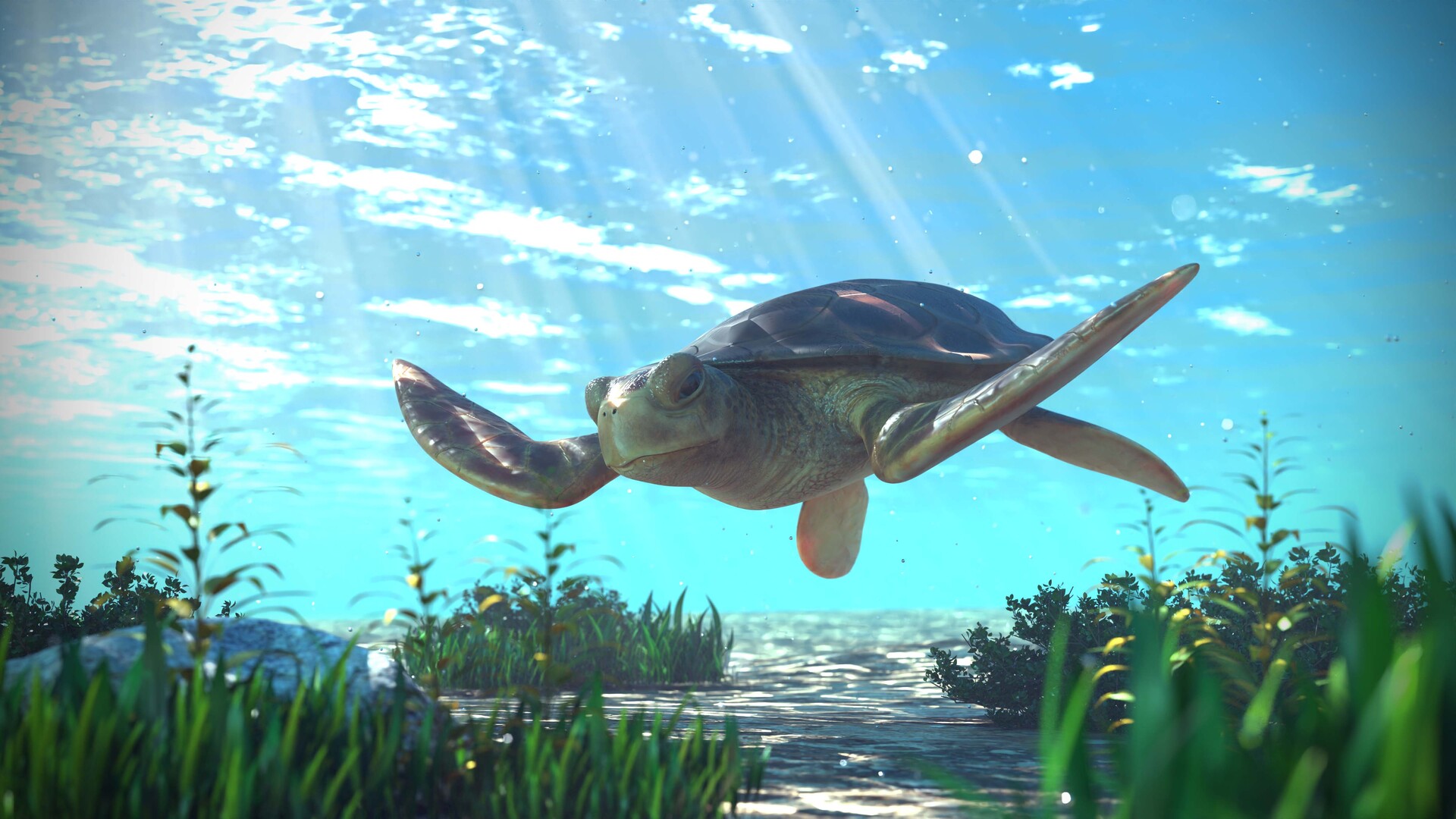 ArtStation - Sea turtle