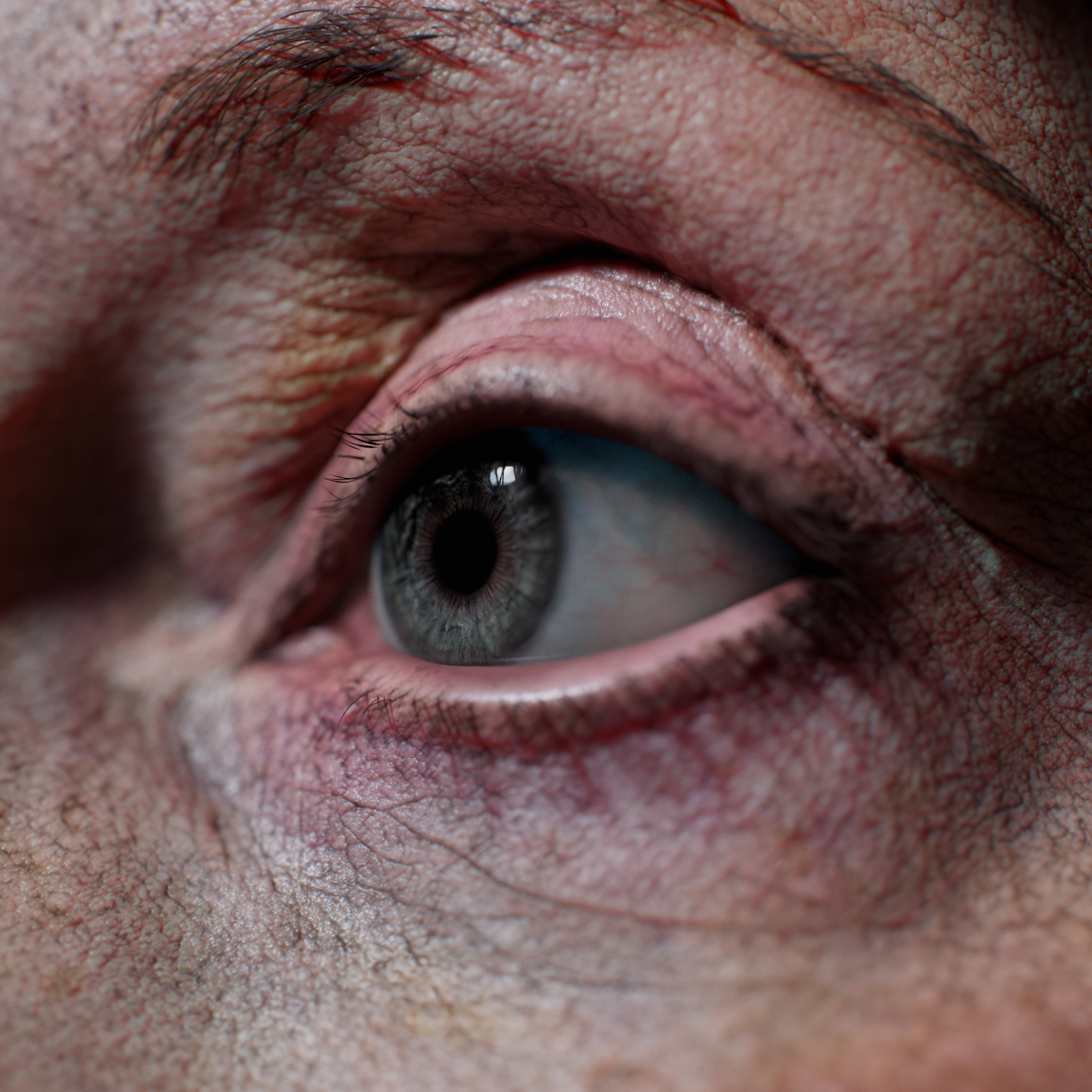 3D Scan Store - HD Head Scan Kit Bash