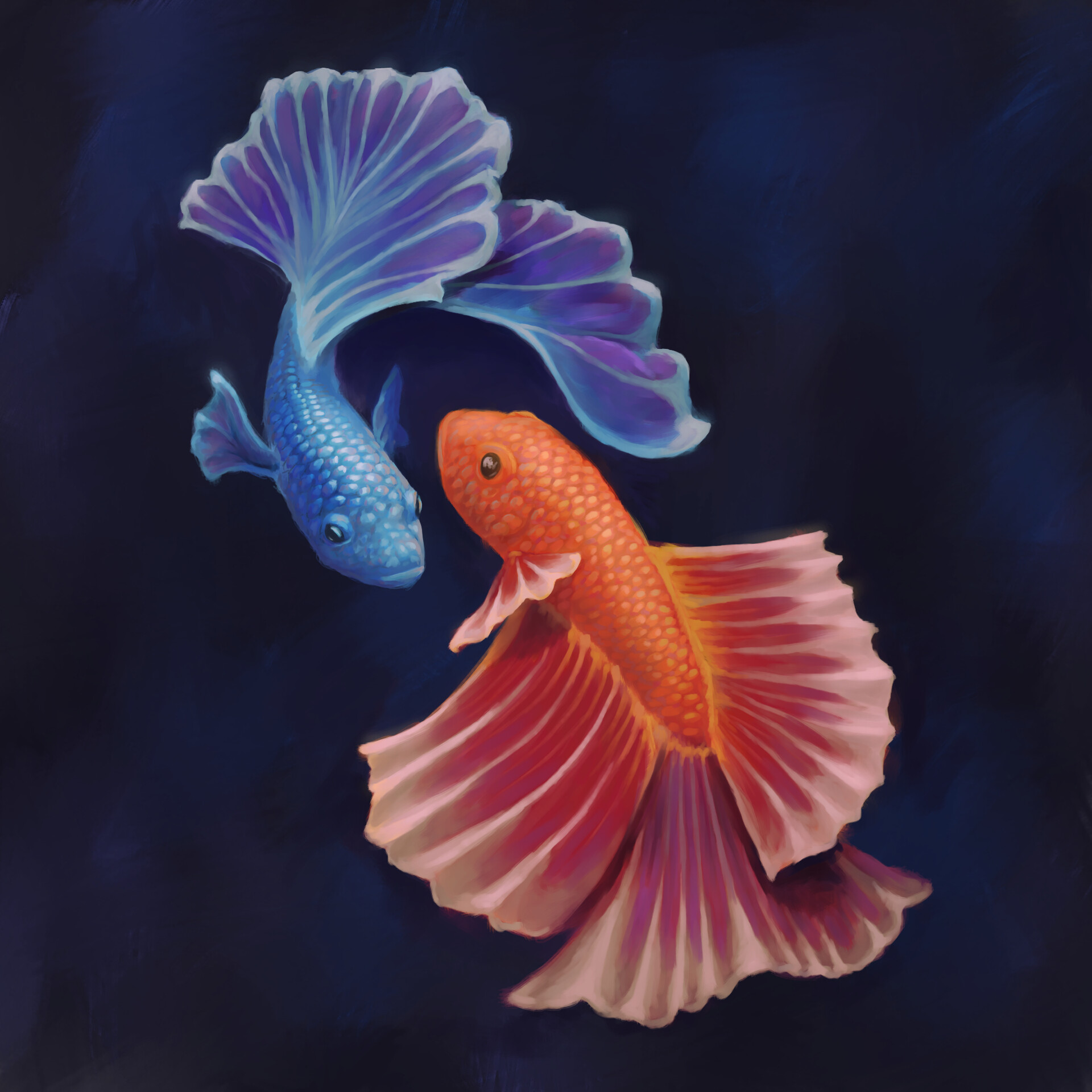 ArtStation - Beta Fish