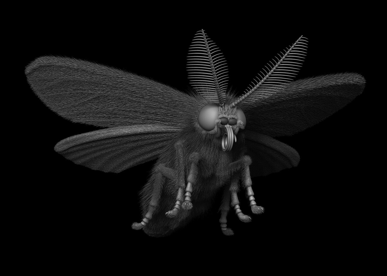 ArtStation - Moth