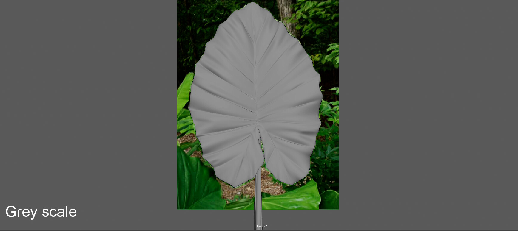 ArtStation - 3d model of leaf