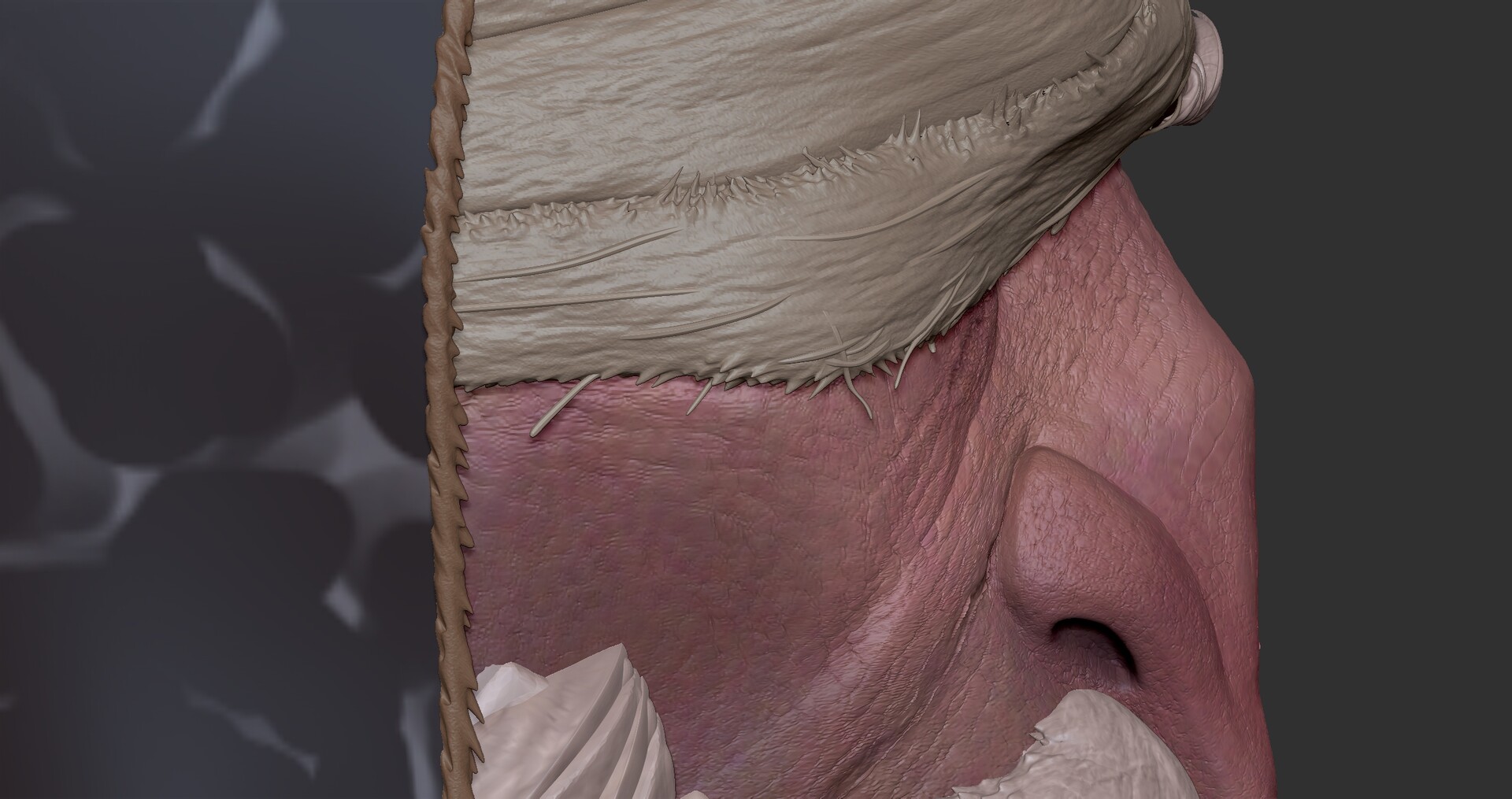 Follygon - Grumpy Wizard