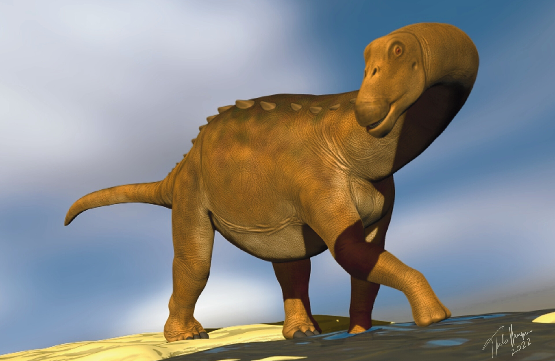 ArtStation - Ibirania parva