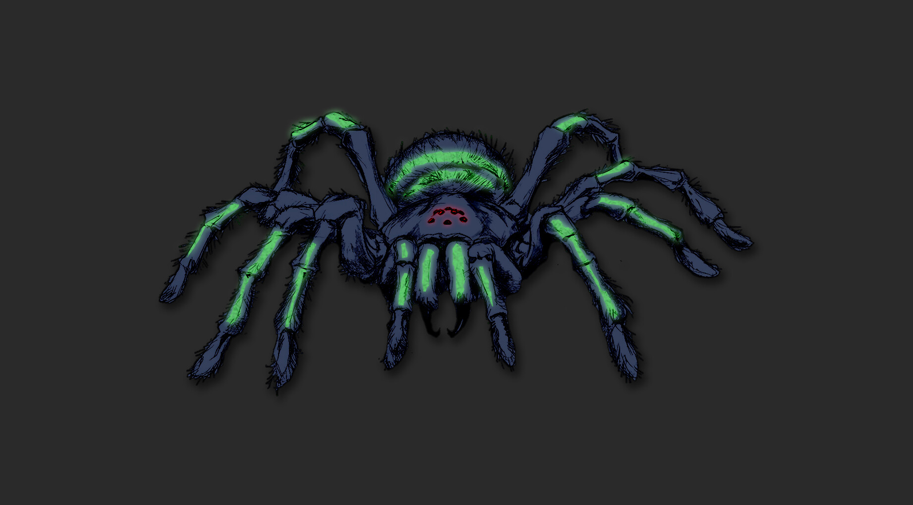 ArtStation - Spider Concept.