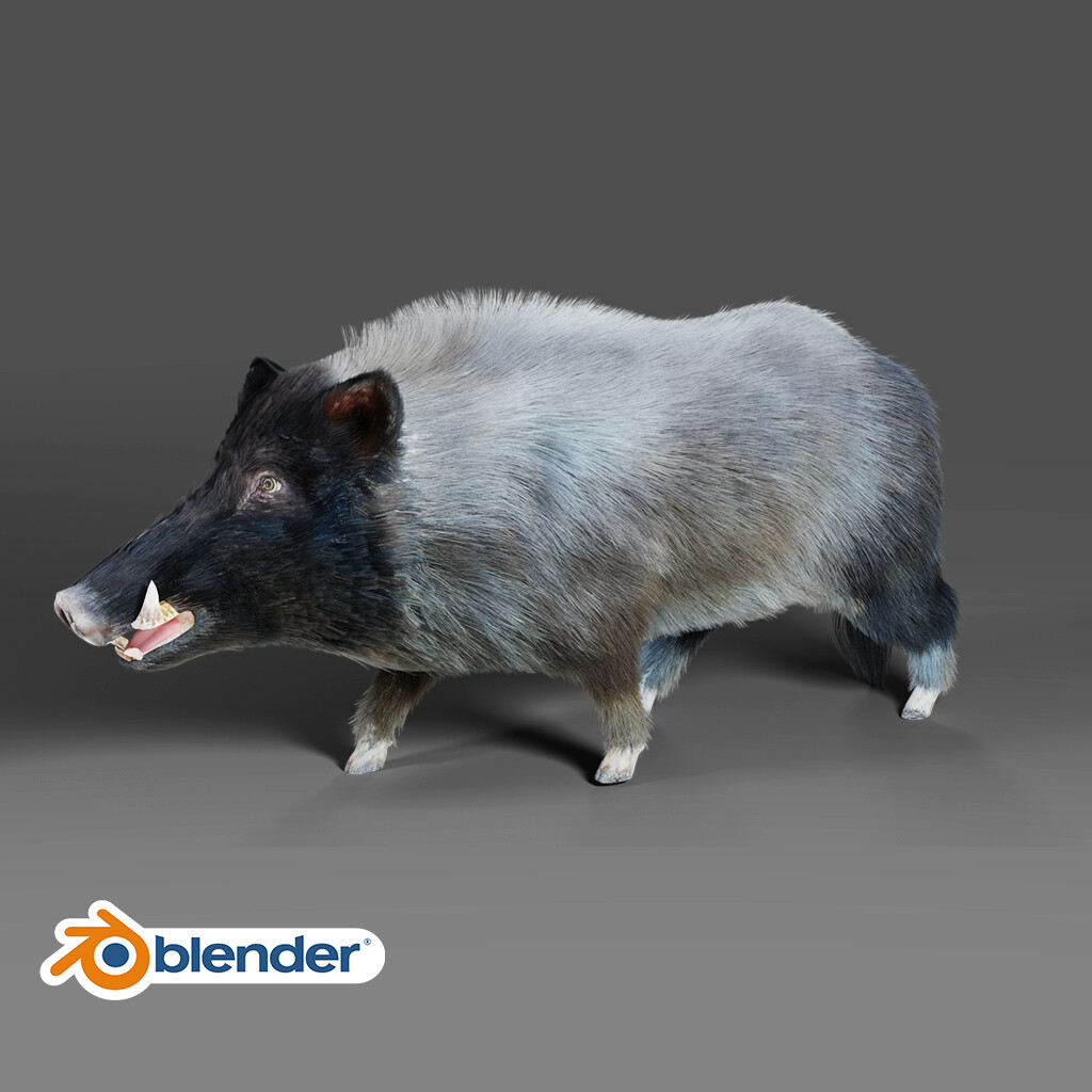 ArtStation - Fur Wild Boar V07 Rigged and Animation