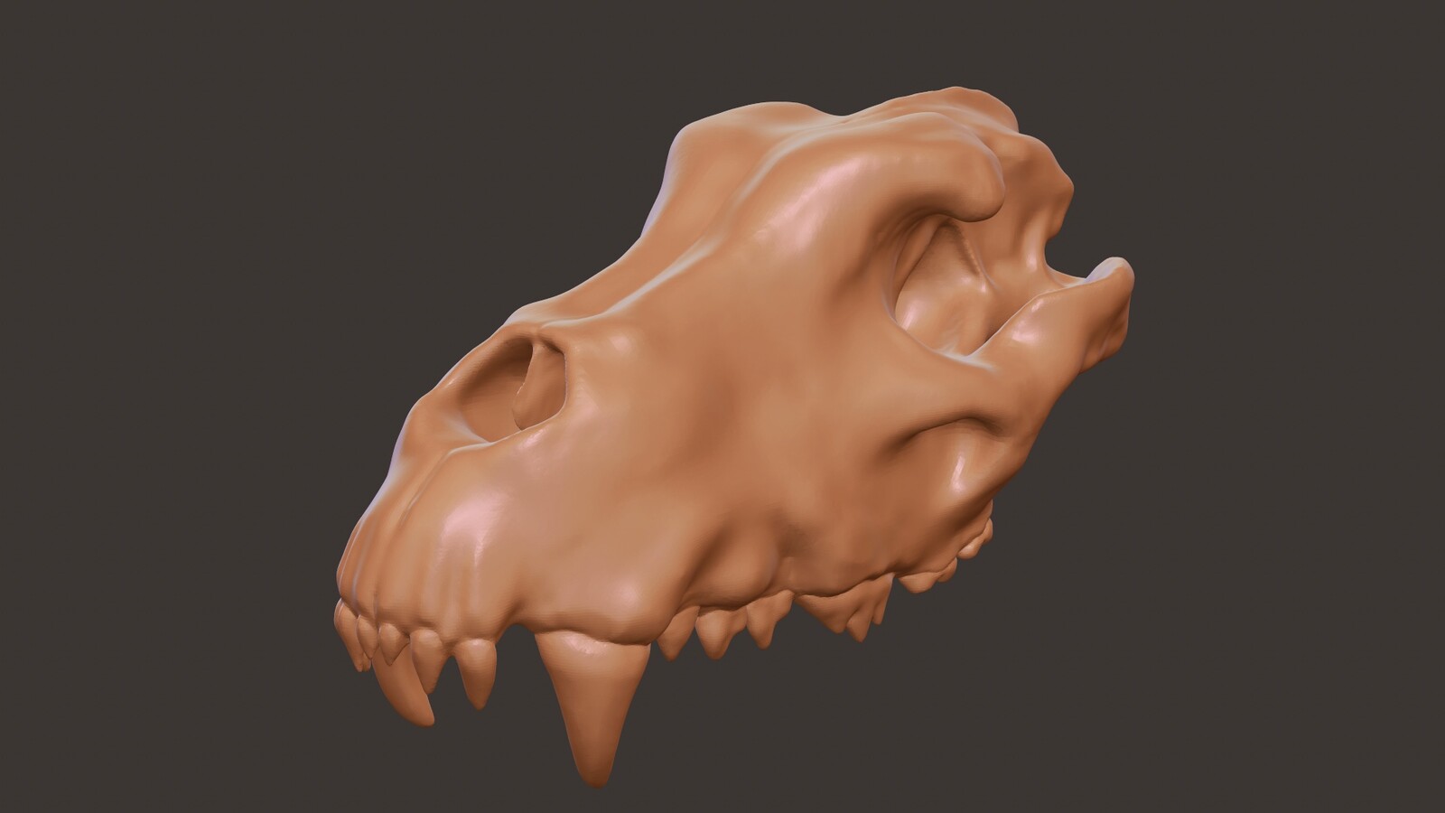 Cassidy Overmann - Portfolio