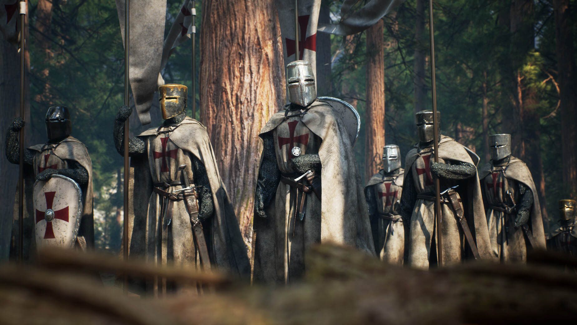 Shravankumar Rawal - Into the forest