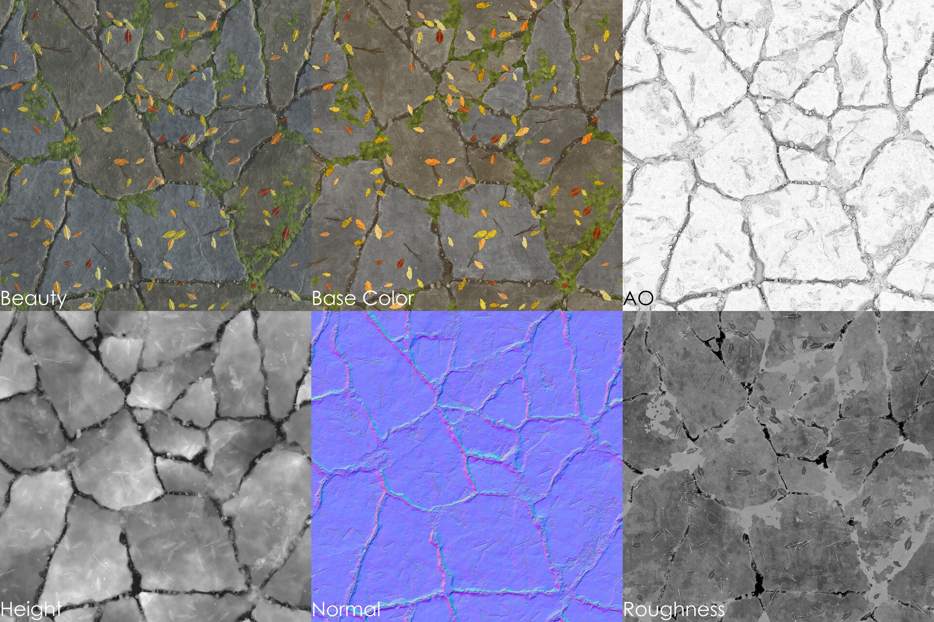 Marine Tissier - Flagstone Pavement Material