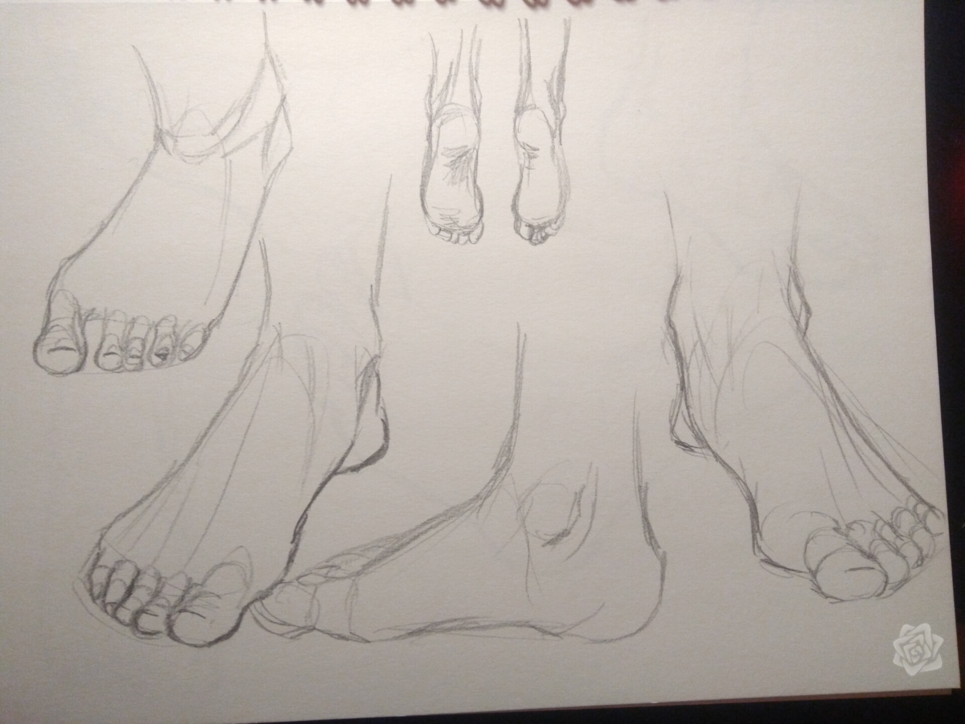 ArtStation - Anatomy - feets 2 min practise