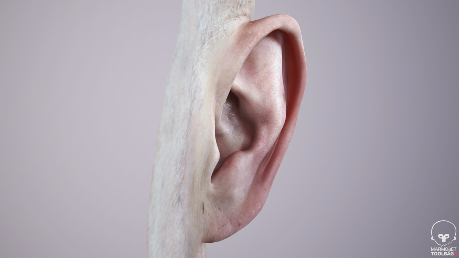 Ankur Nanda - Human Ear