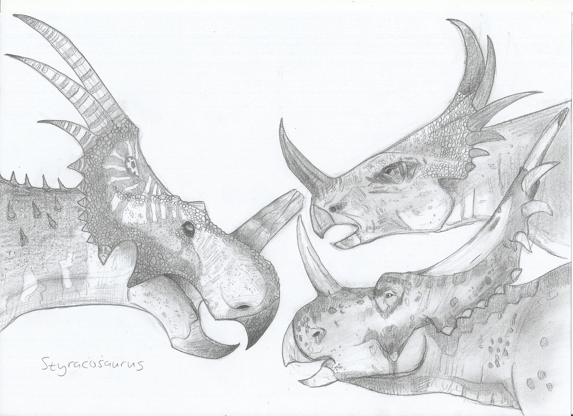 Jurassic Park Operation Genesis Styracosaurus Jurassic Park: Operation