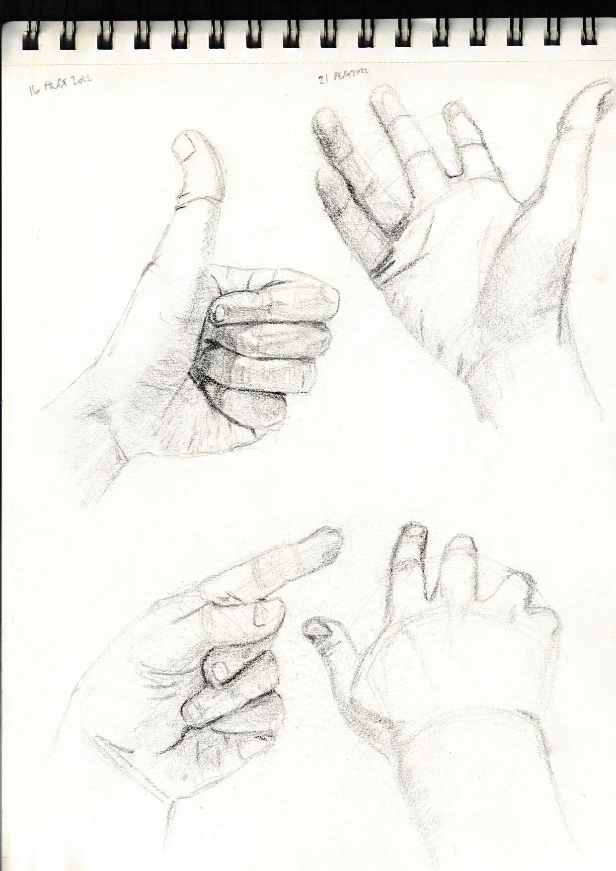 ArtStation - Hand & Arm Studies