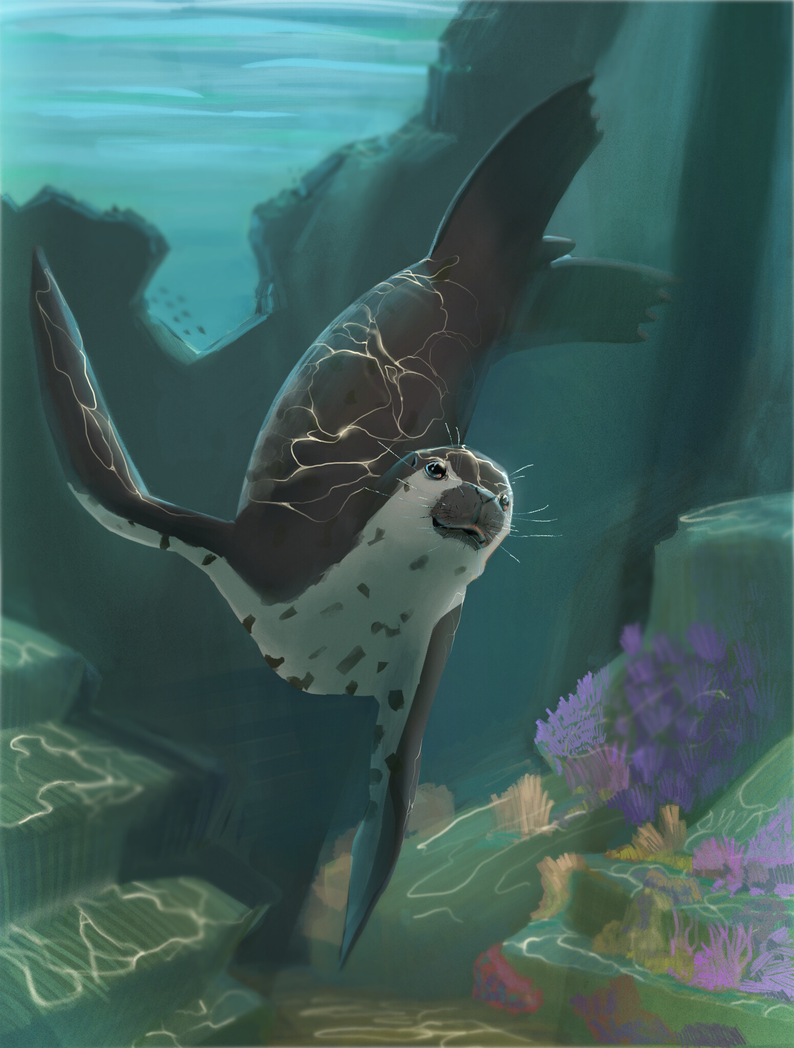 ArtStation - Seal - Foca