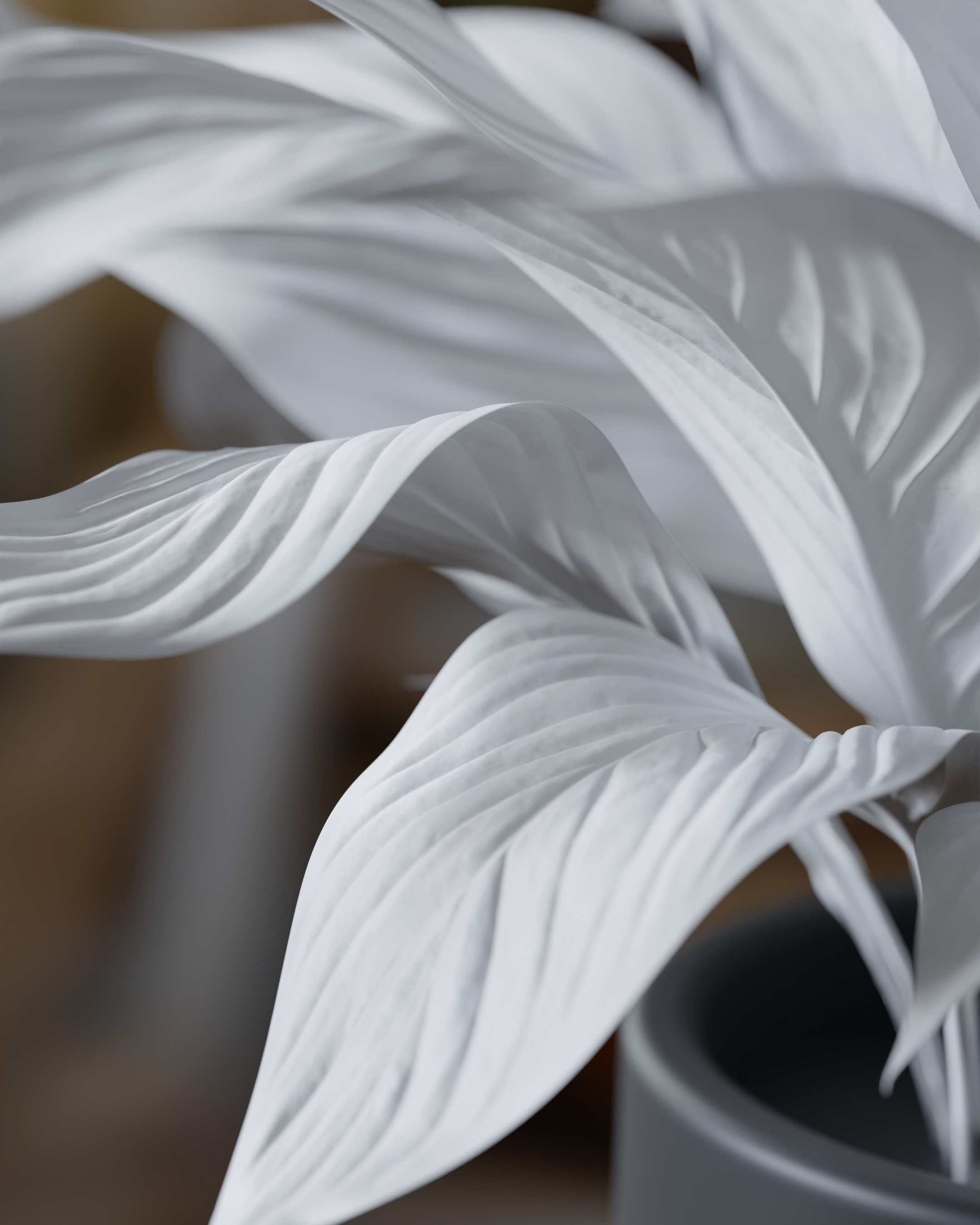 iwo pilc - 3D Plant Peace Lily - @Textures.com