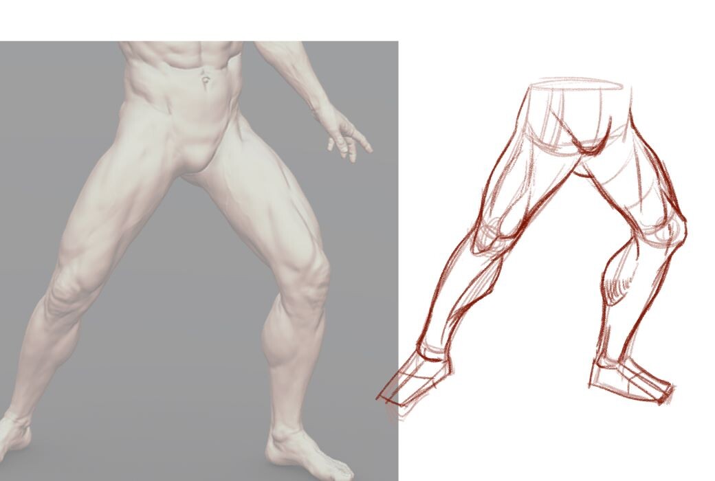 ArtStation - Anatomy study