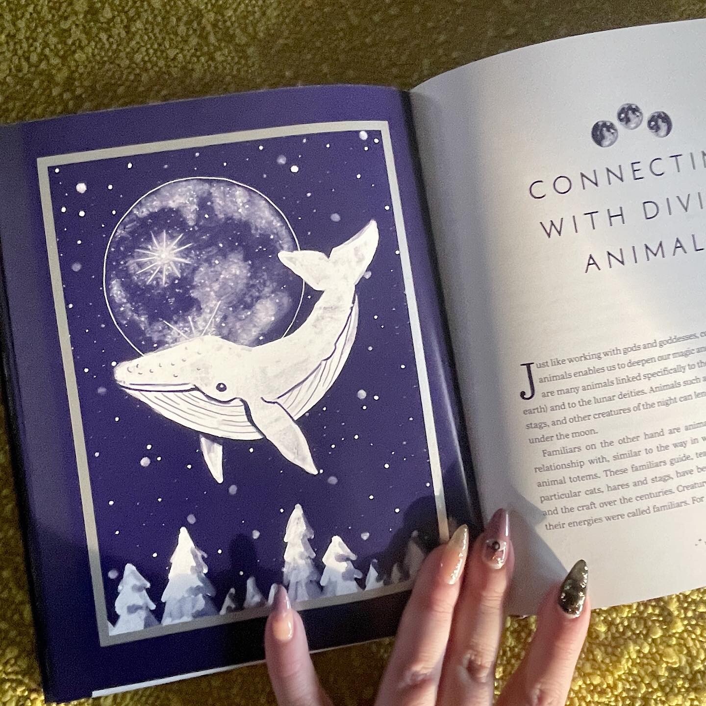 ArtStation - Enchanted Moon Illustrations