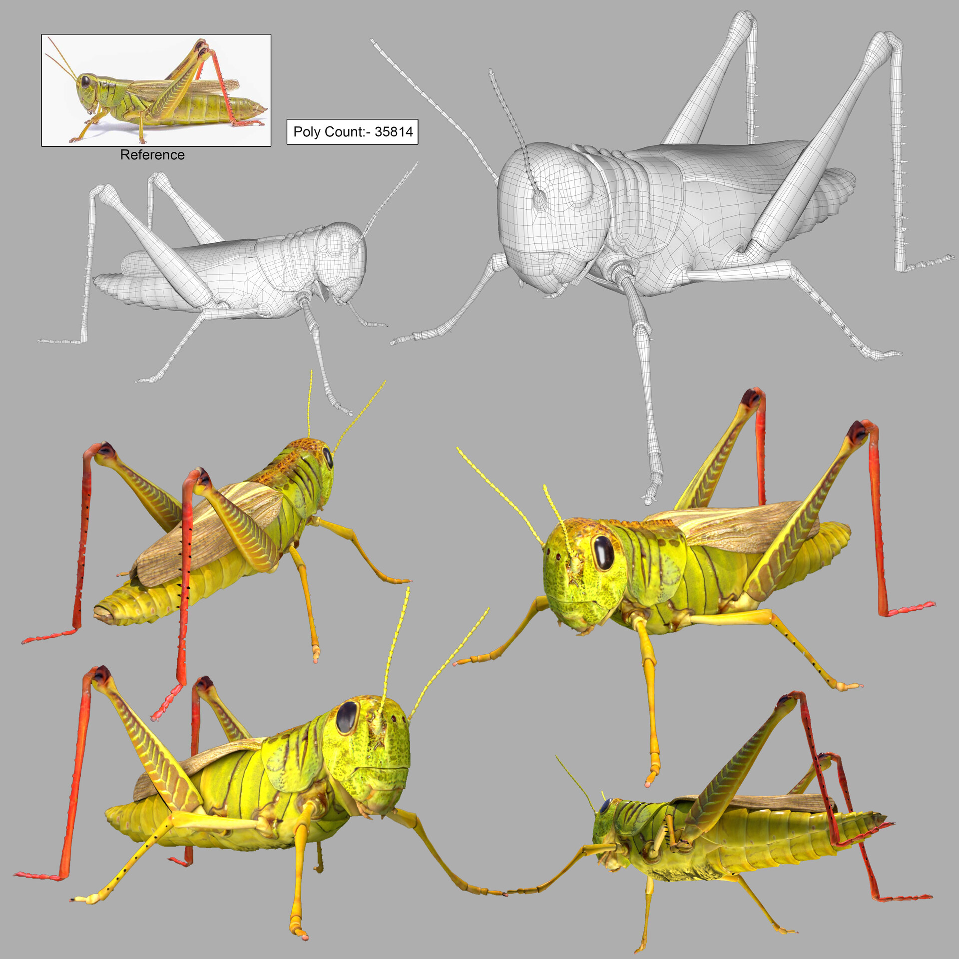 ArtStation - Grasshopper