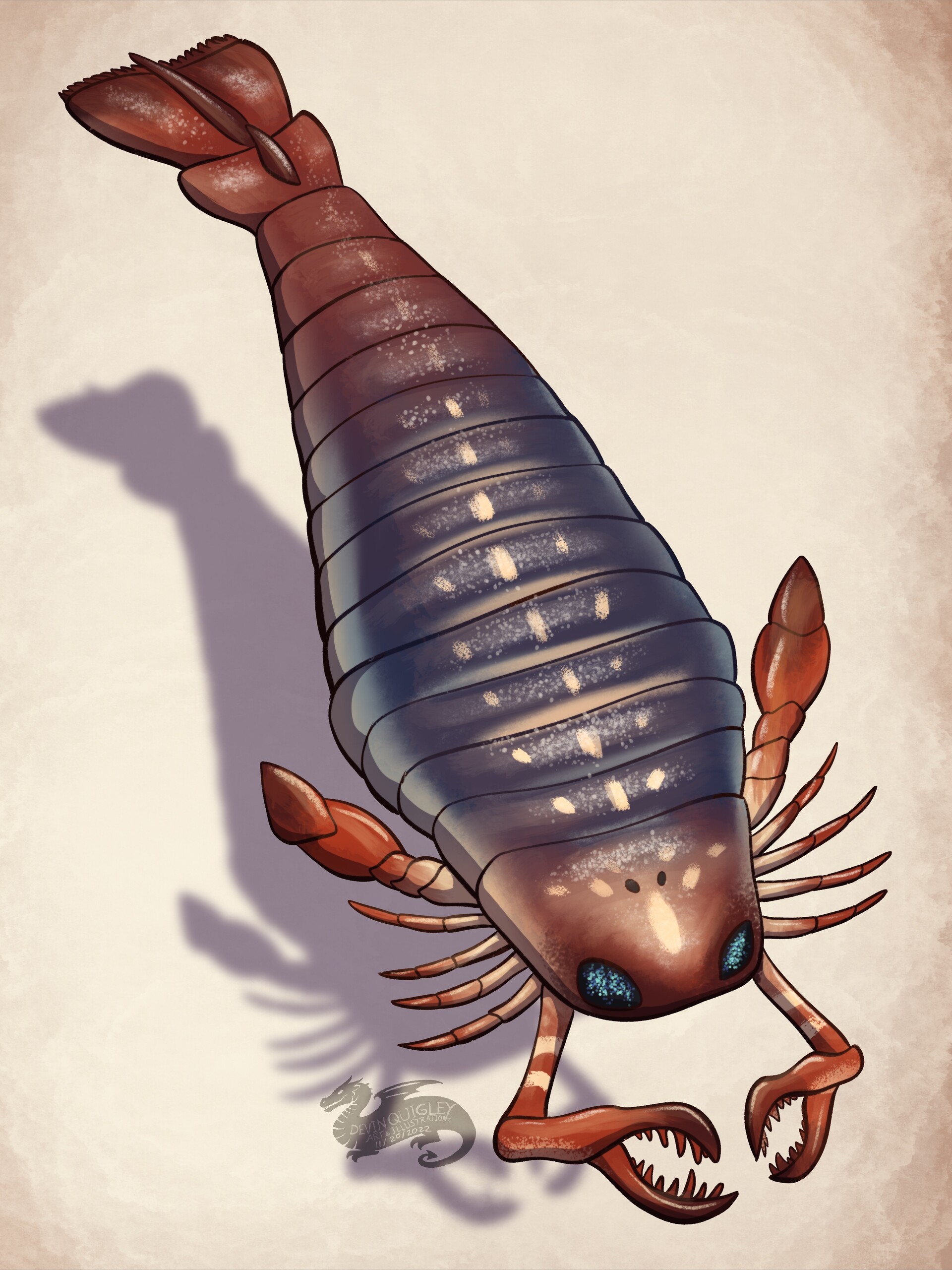 Devin Quigley - Paleovember 2022