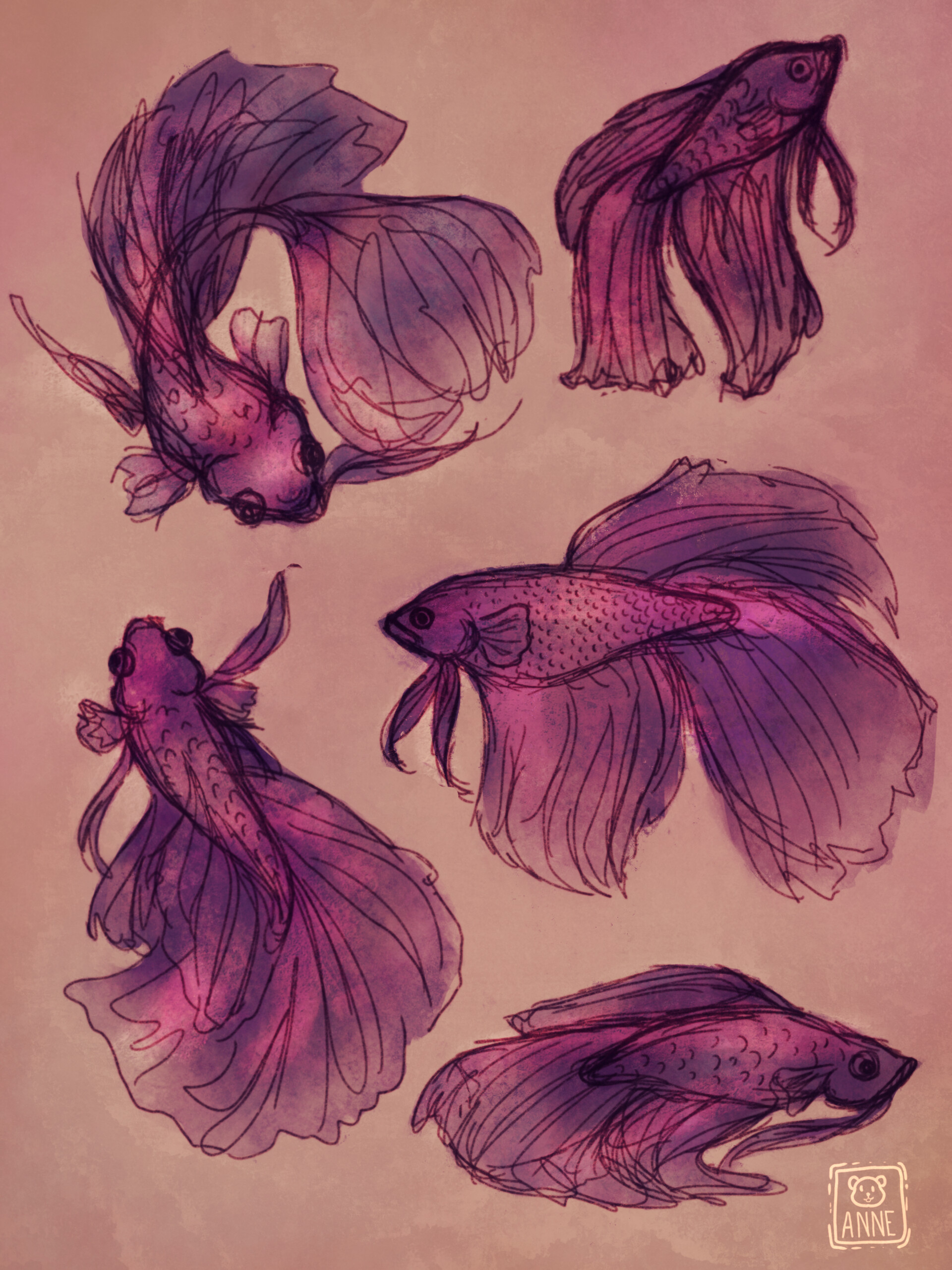 ArtStation - Betta fish sketches