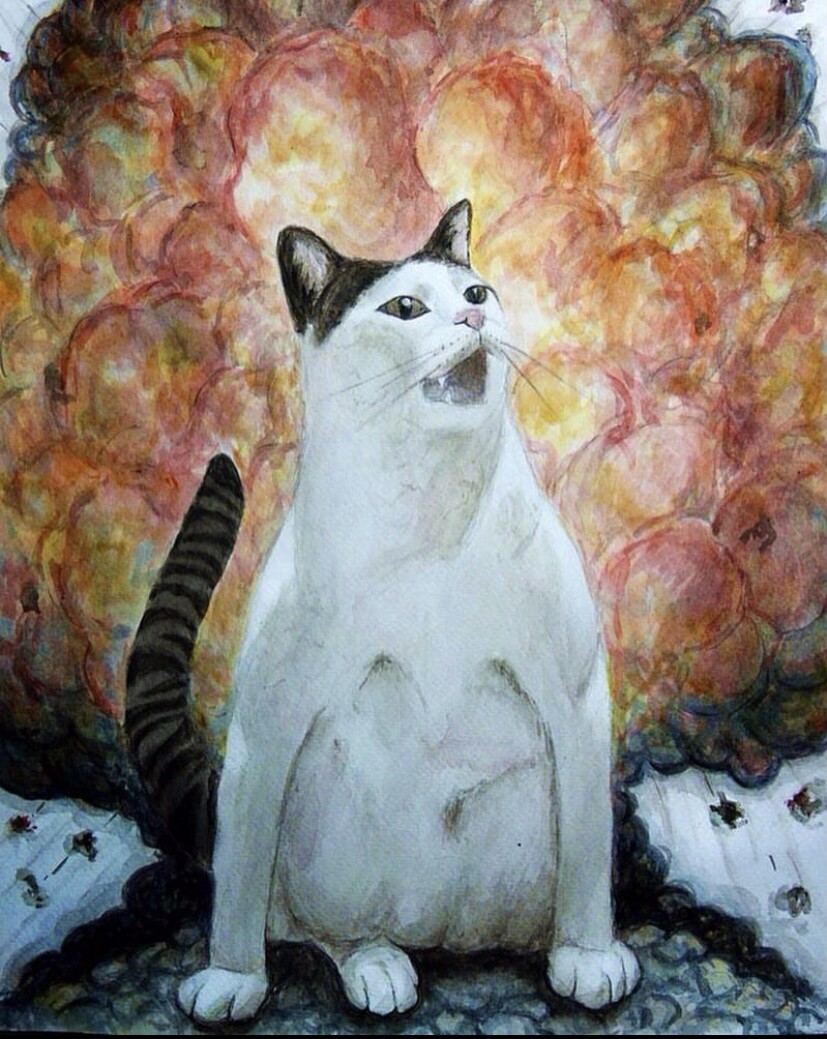 ArtStation - Cat with explosion