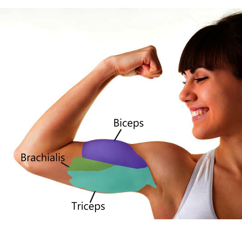 ArtStation - RICHARD_Vazquez