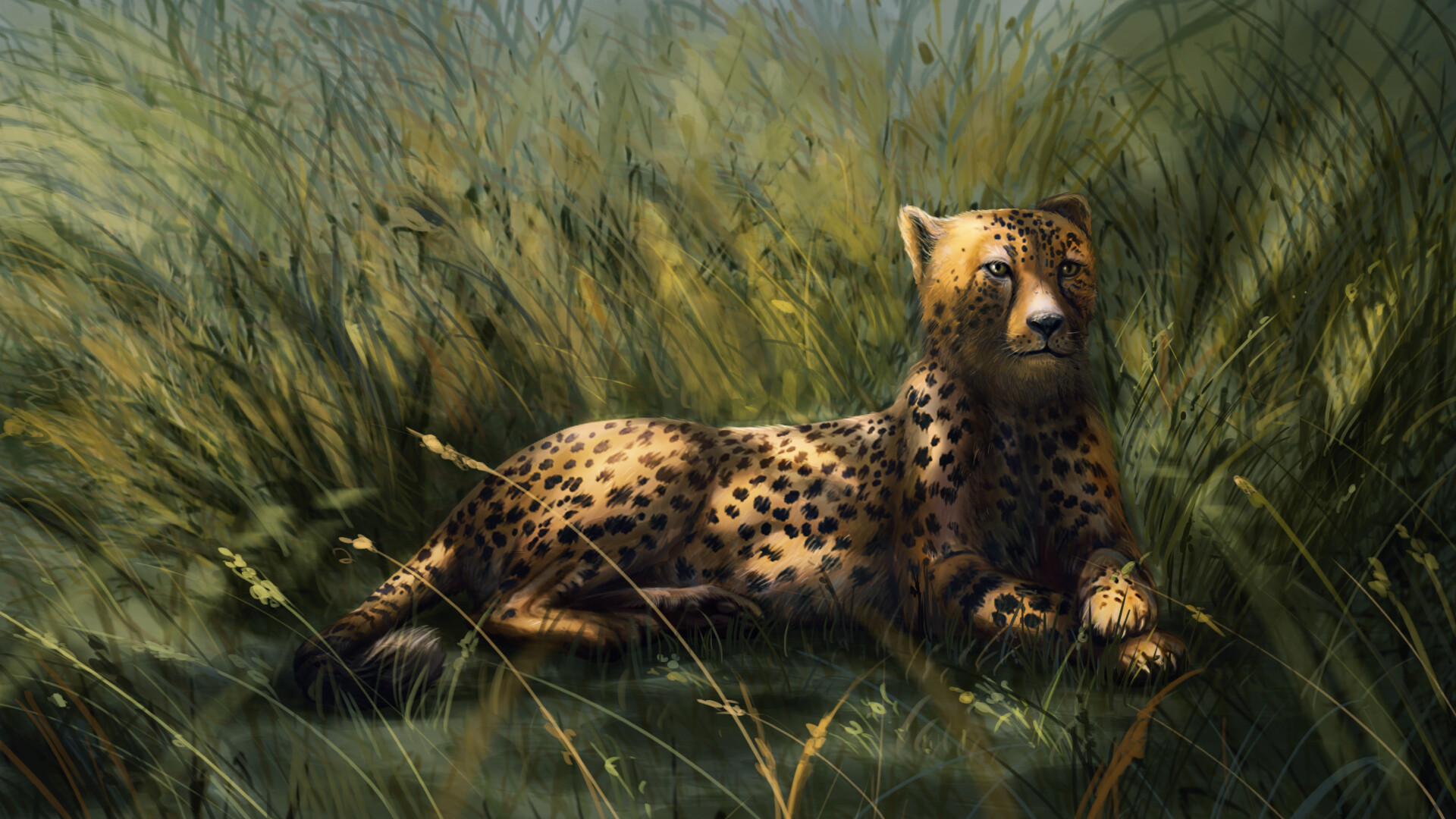 ArtStation - CHEETAH RESTING IN SHADE DIGITAL PAINTING