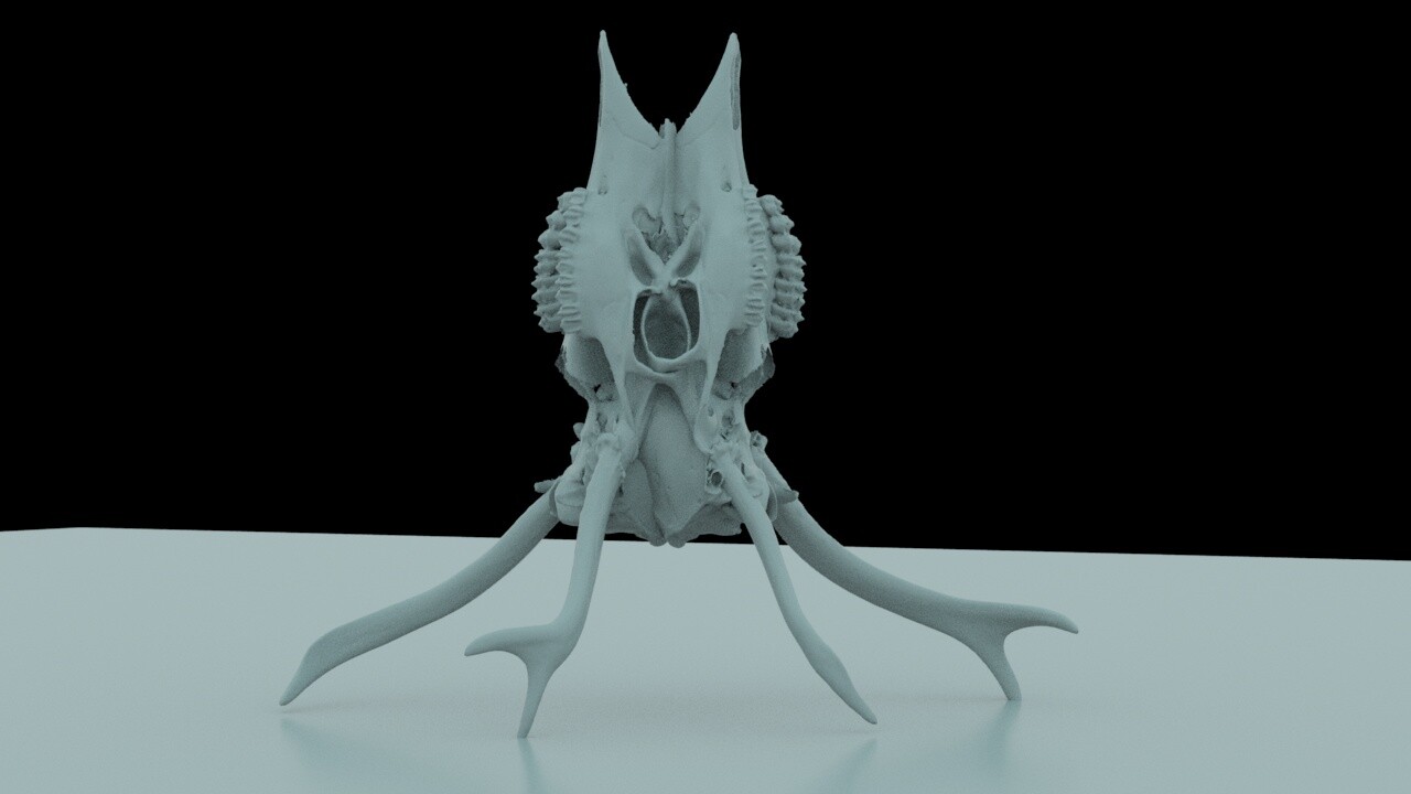 ArtStation - Dear Skull Arrays and Amalgams