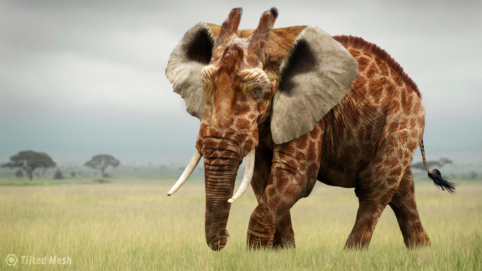 Tyler Miller - Giraffephant