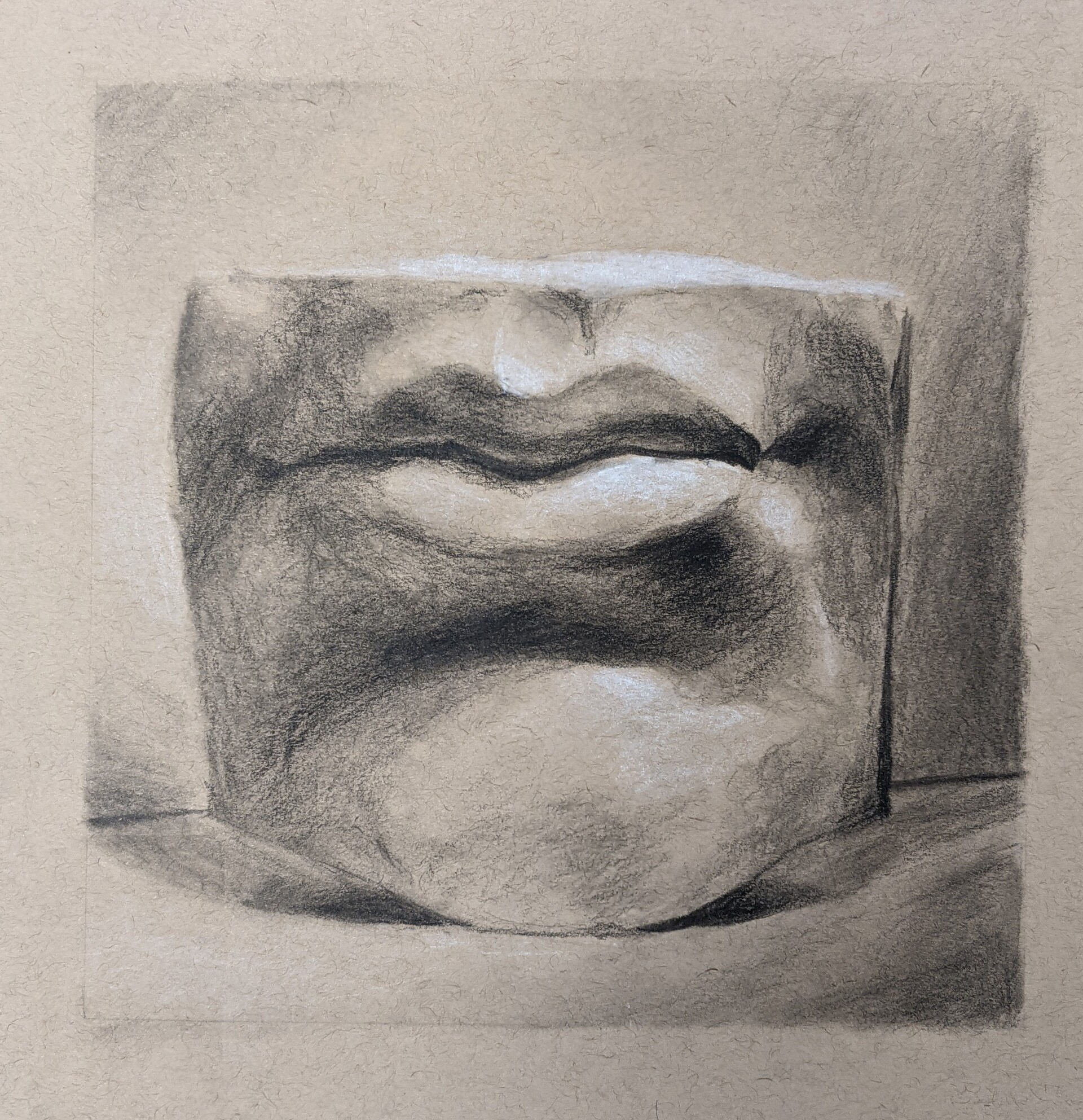 ArtStation - Observational Drawing Projects