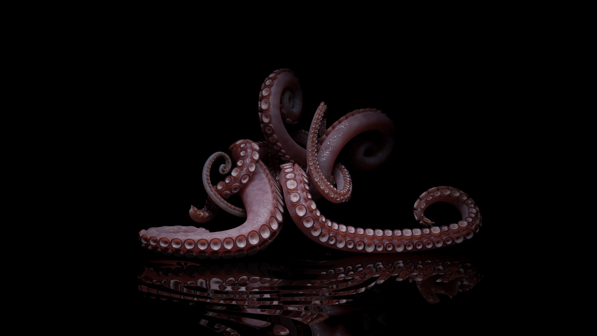 ArtStation - Octopus