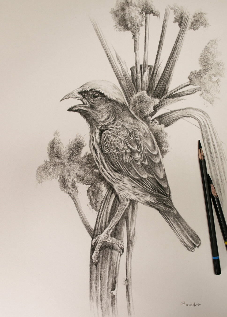 ArtStation - Weaver Study