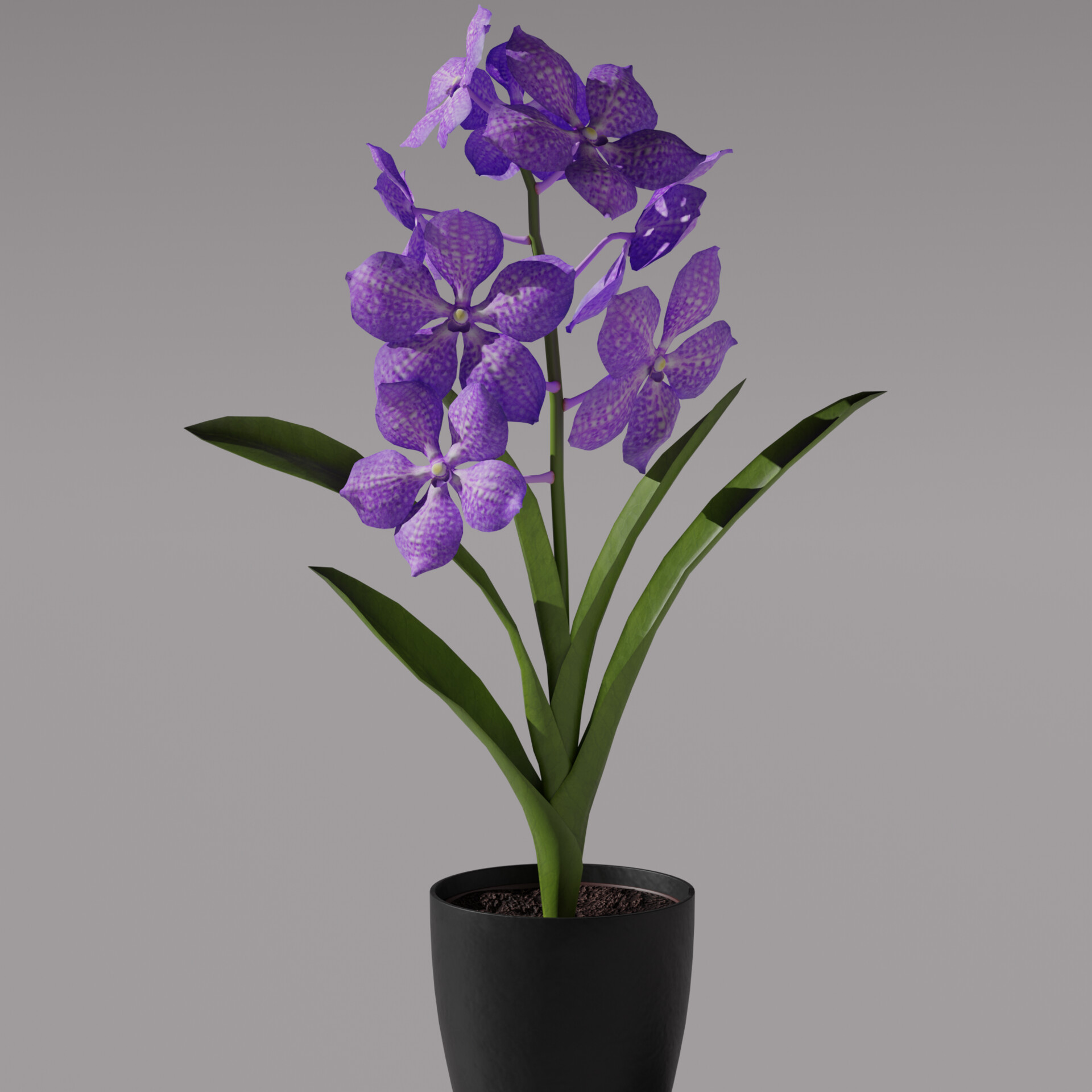 ArtStation - Vanda Orchid