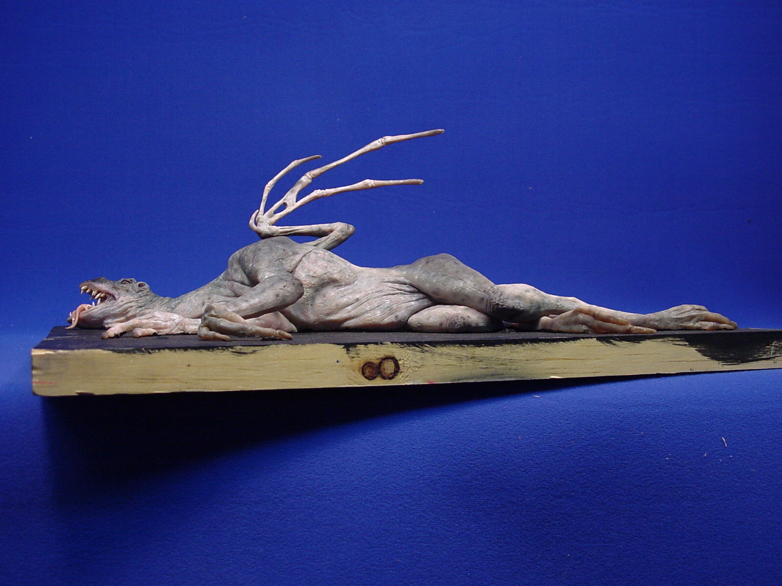 Peter König - Evolution creature designs