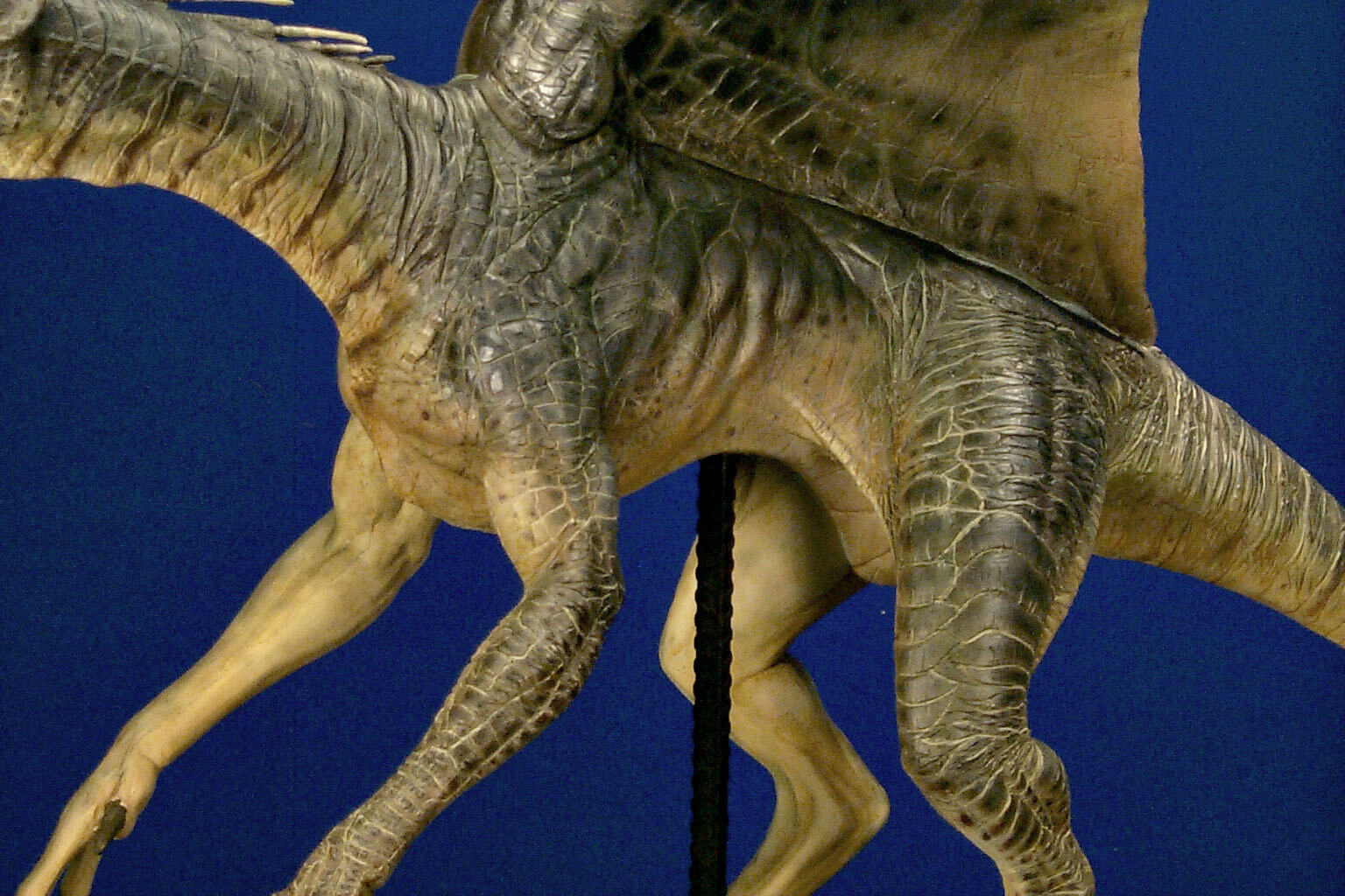 Peter König - Evolution creature designs