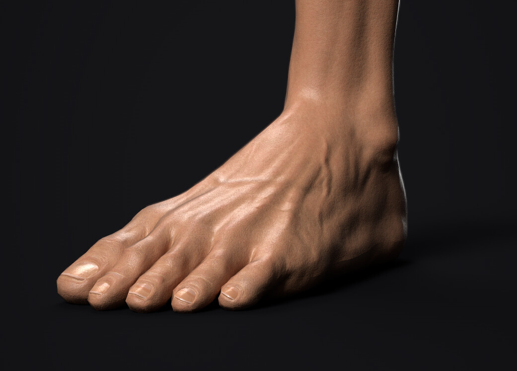 ArtStation - Foot Study