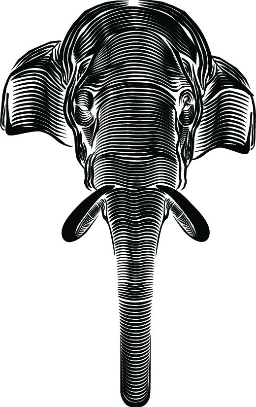 Asian Elephant Line Drawing