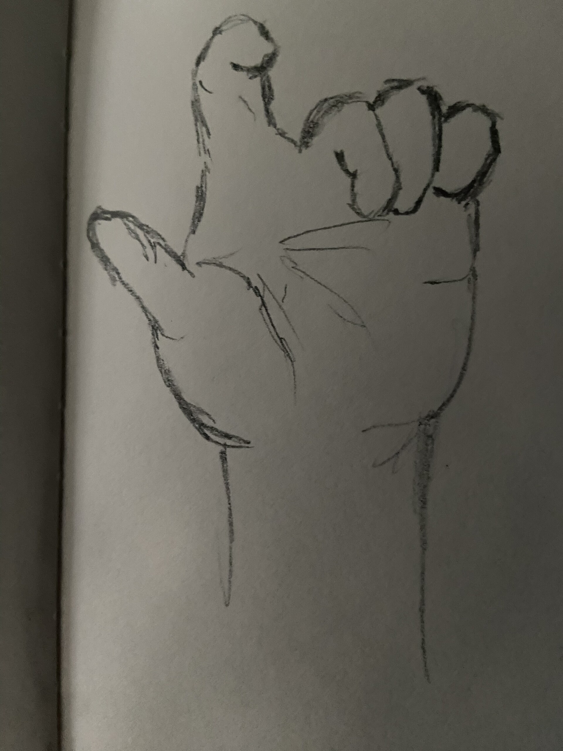 ArtStation - Hand warm up sketch. Enjoy