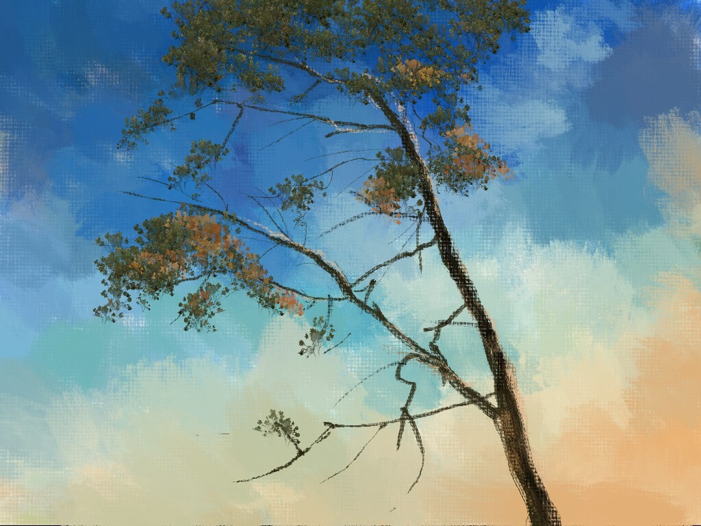 Dan Ritchie - Desert Cactus and other Howler images