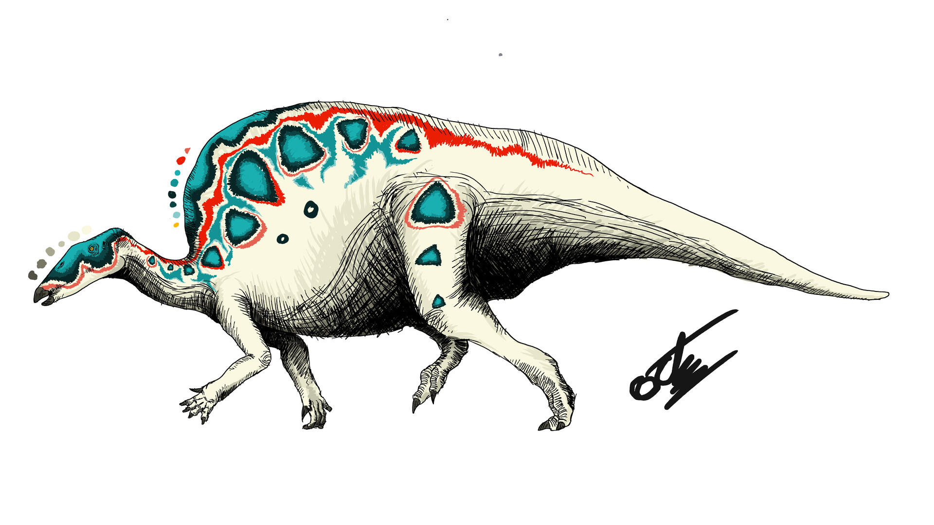 Ouranosaurus Skeleton