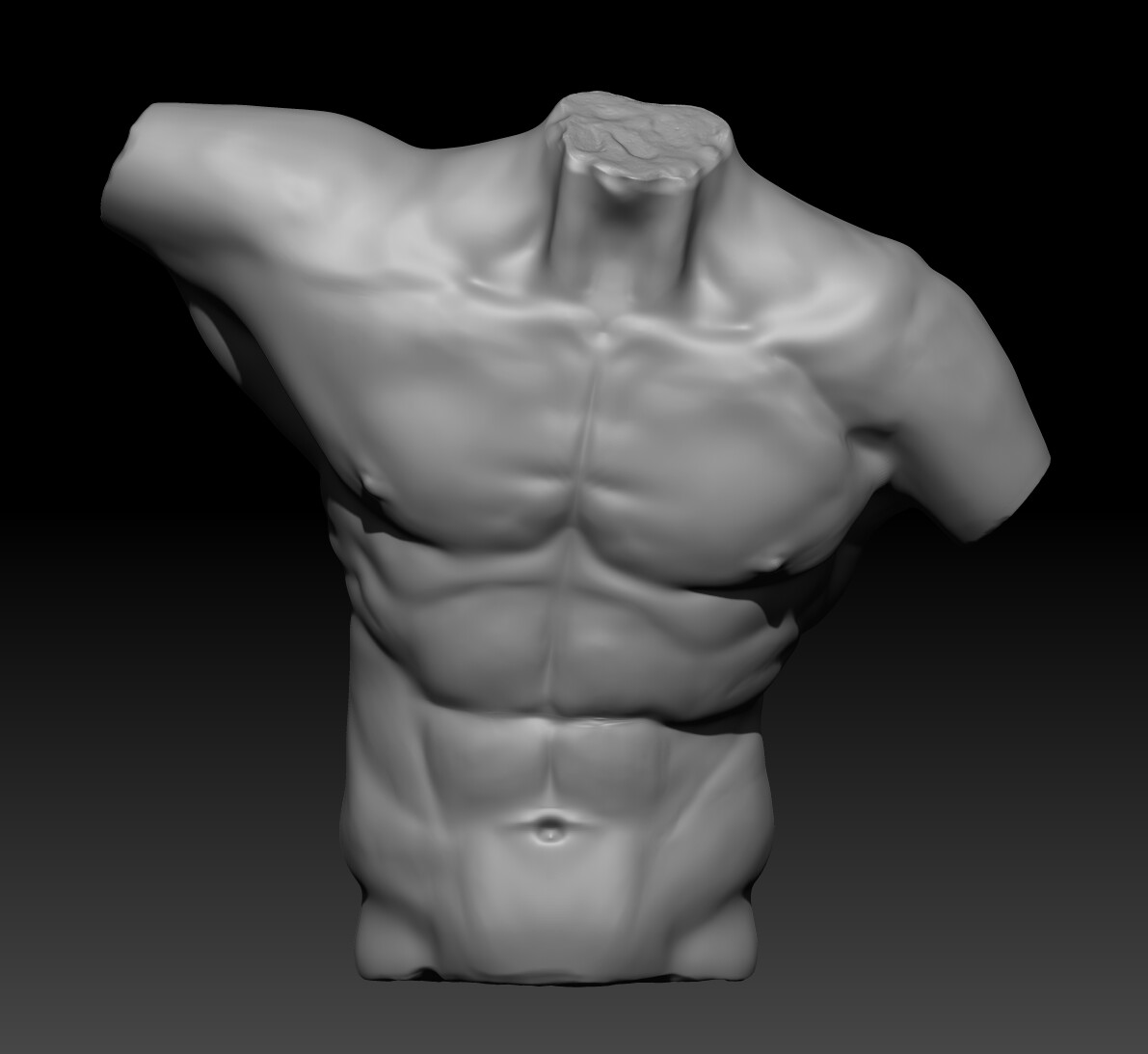 ArtStation - Torso