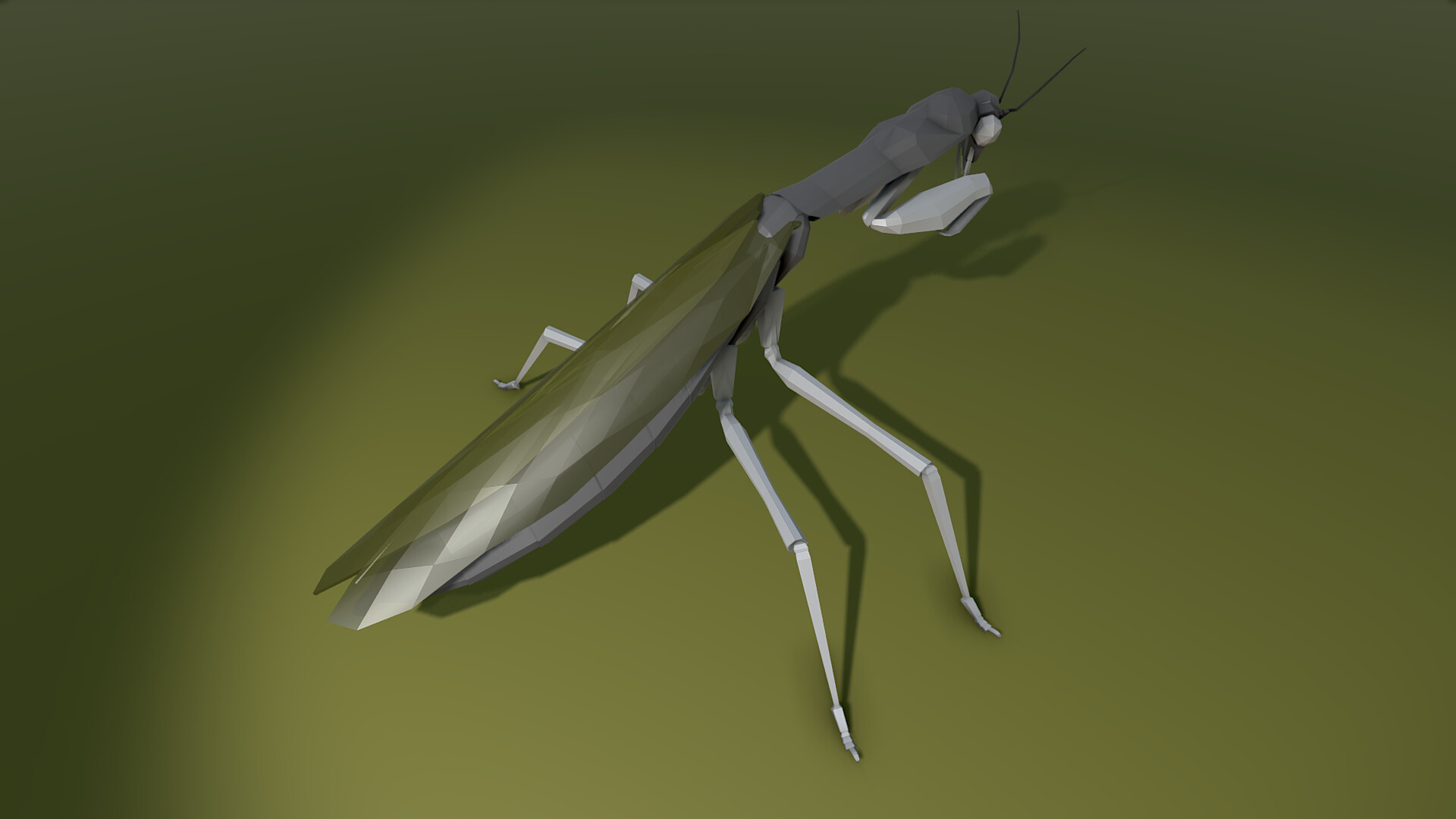 Günther Wolek - Low Poly Mantis