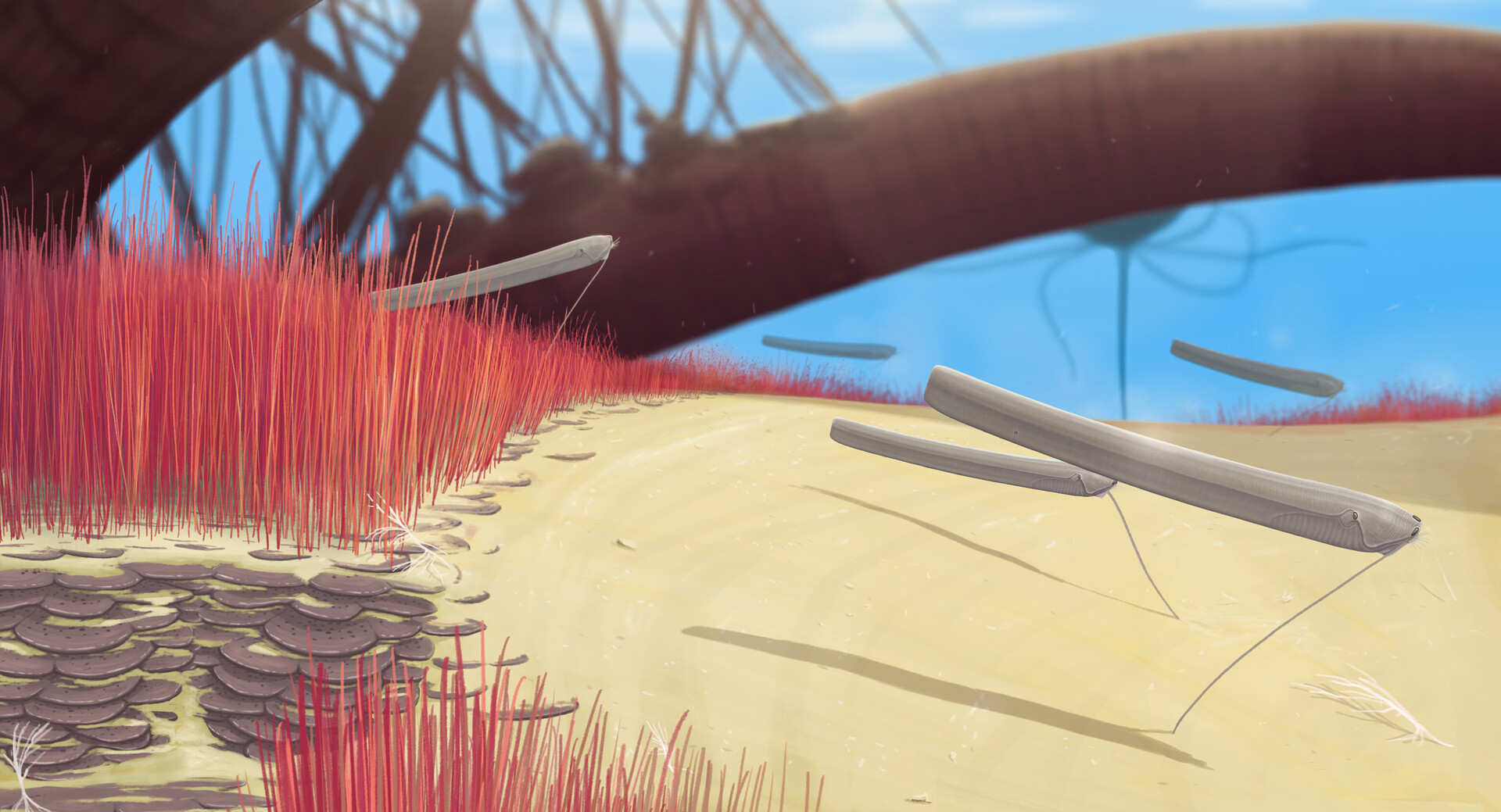 ArtStation - Alien fish visual development and Animation