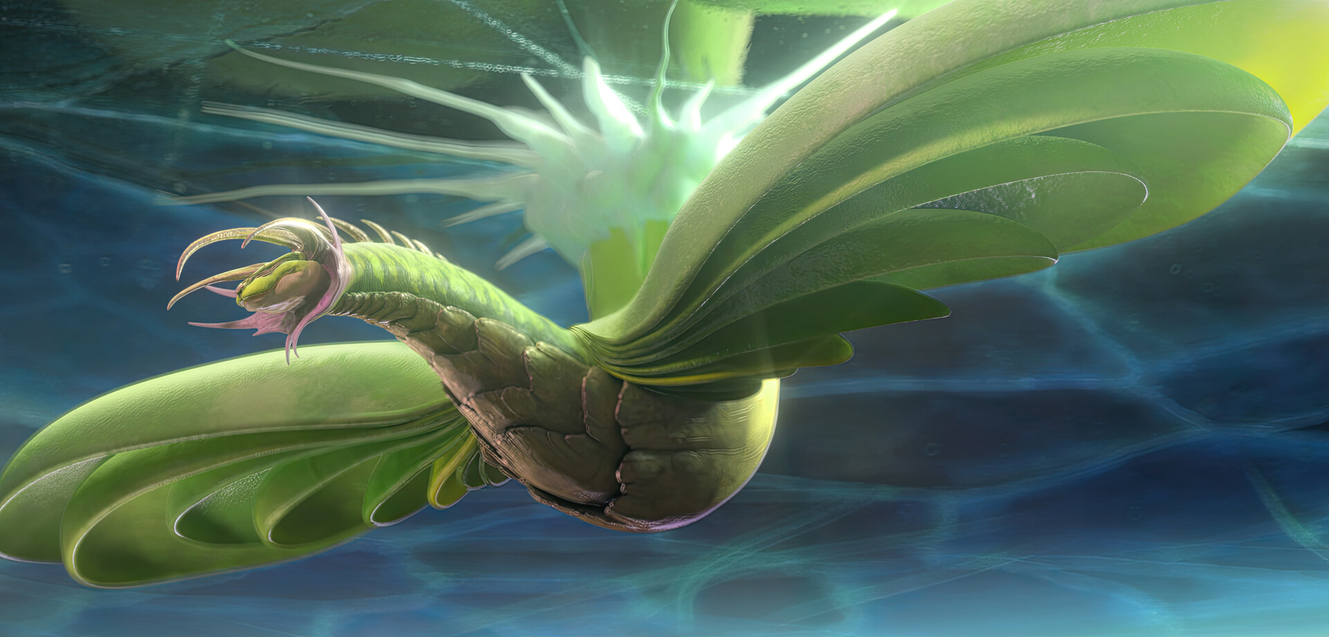 ArtStation - Flying species