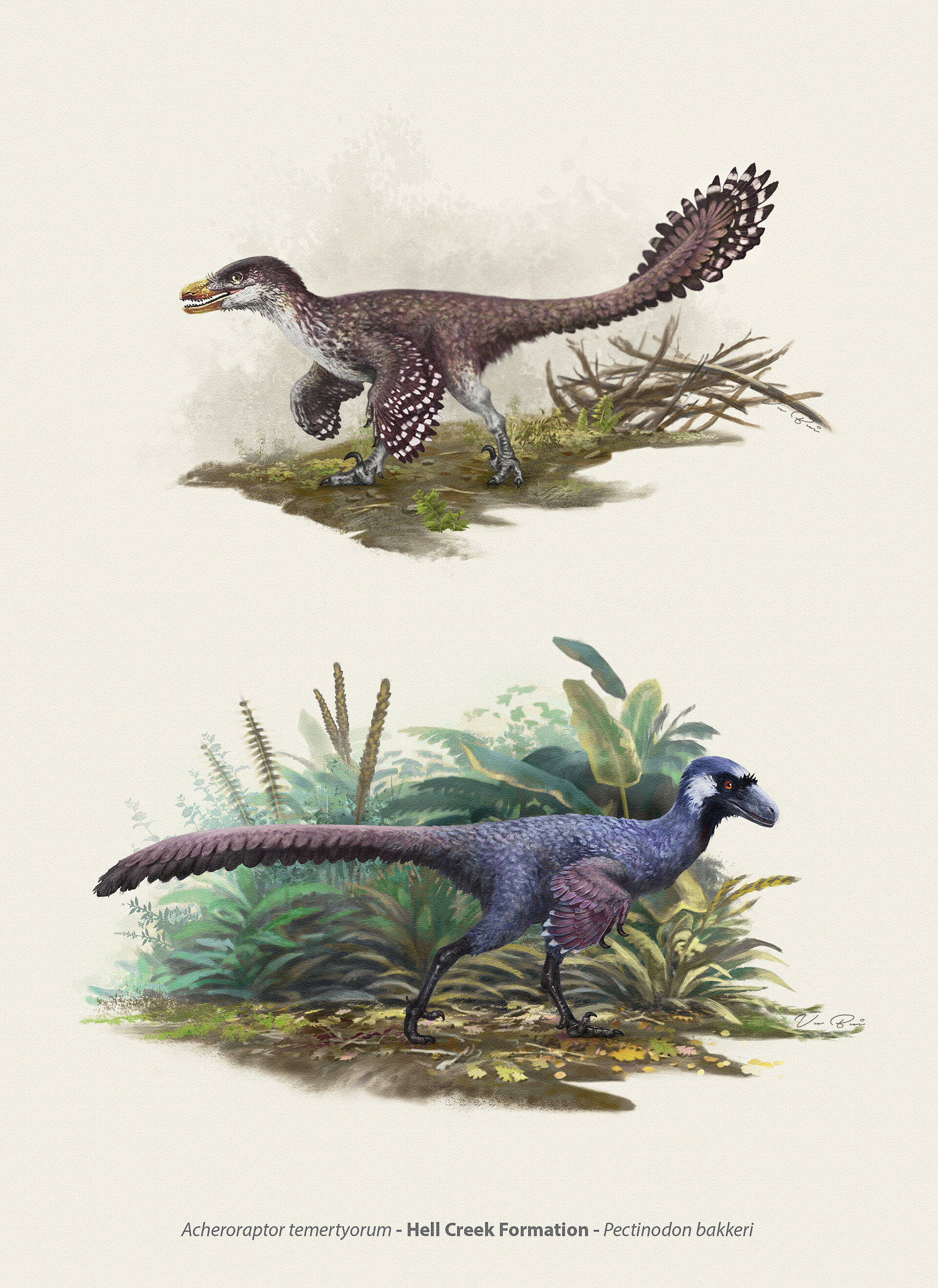 ArtStation - Raptors from Hell Creek