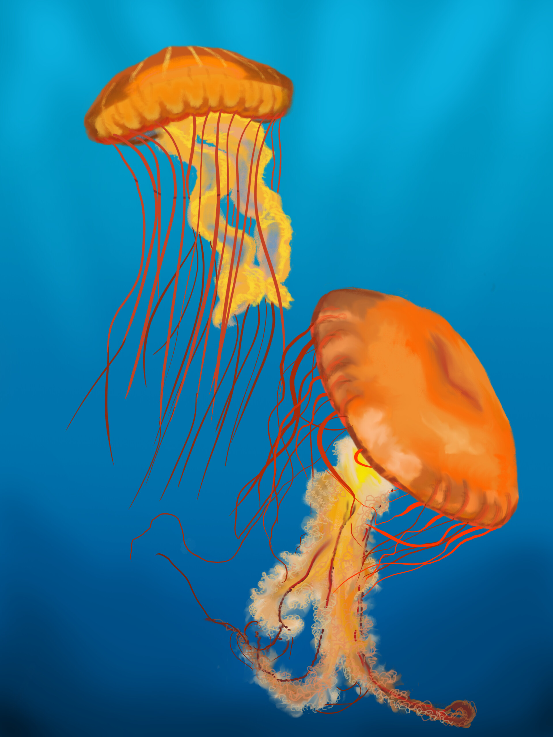 ArtStation - Sea Nettles
