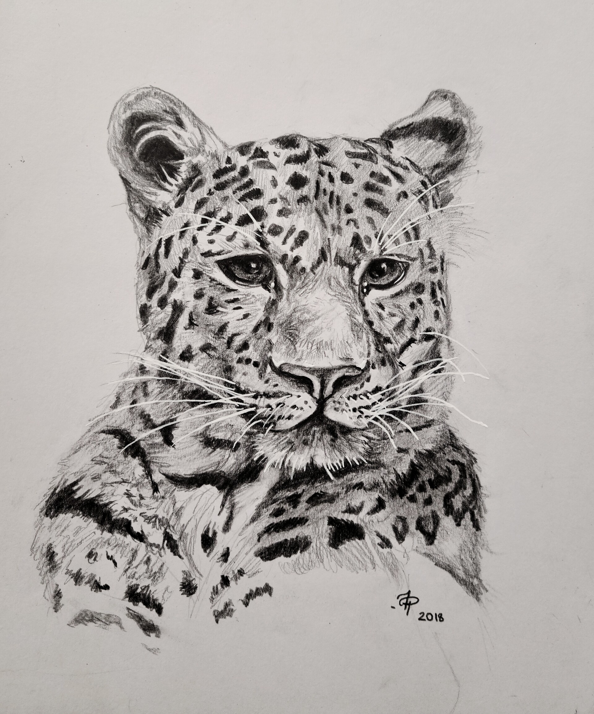 ArtStation - Leopard in Ebony