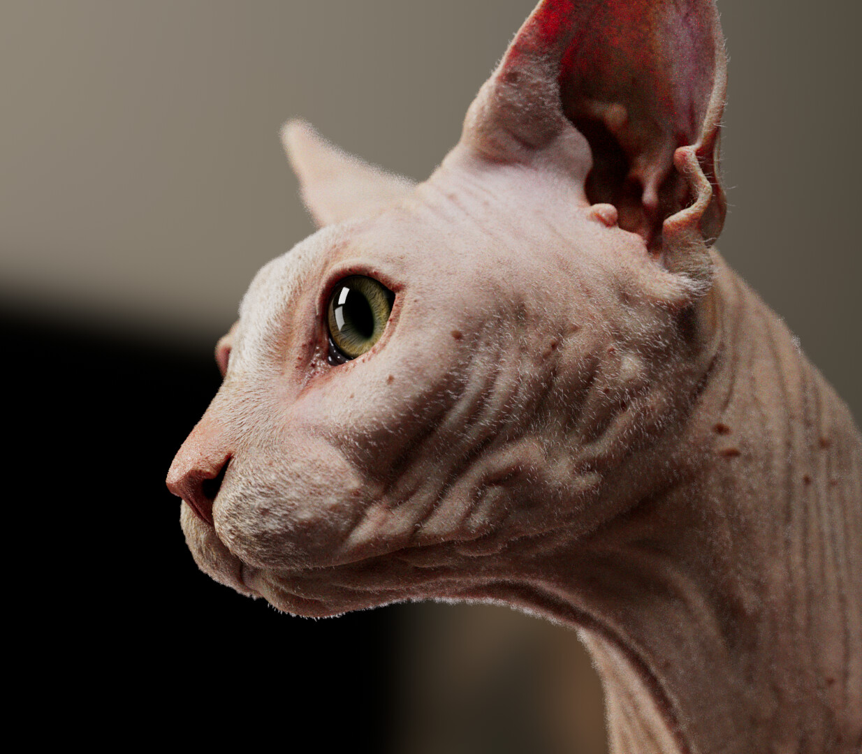 ArtStation - Sphinx cat