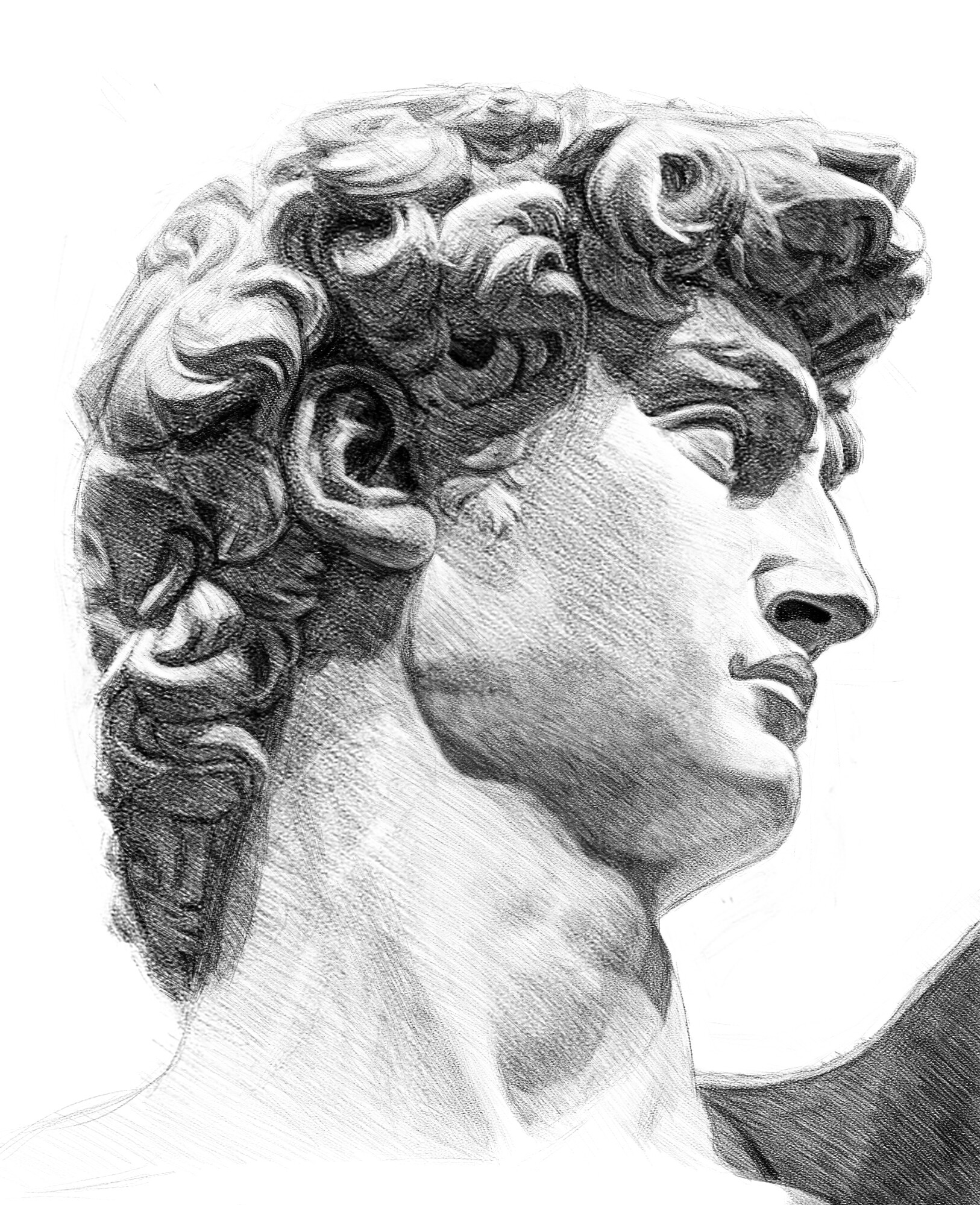 Toby Lu - Study Pack 1