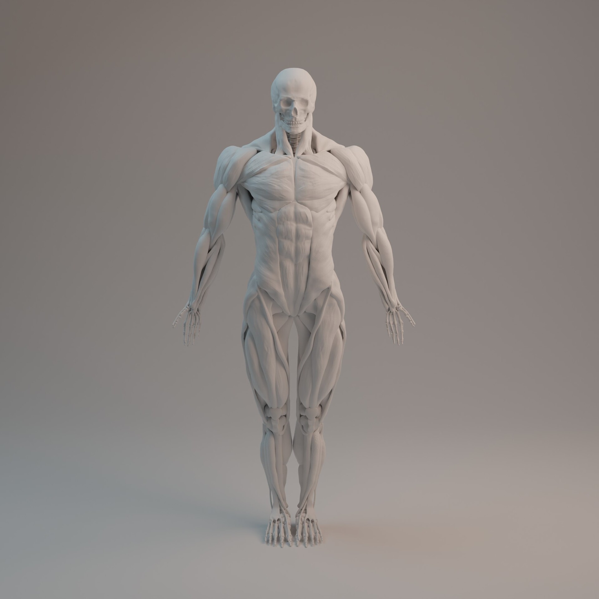 ArtStation - Study Pack 2