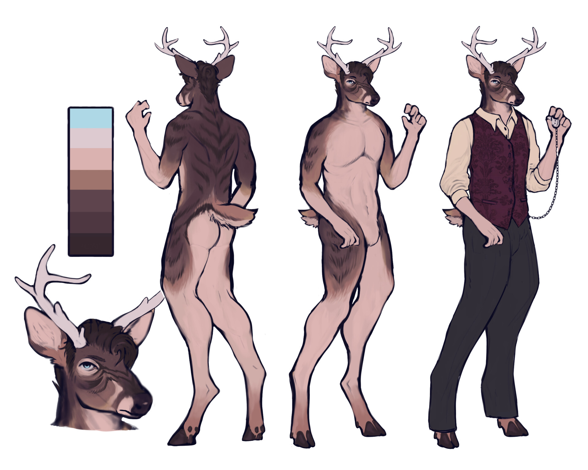 how to draw anthro doe